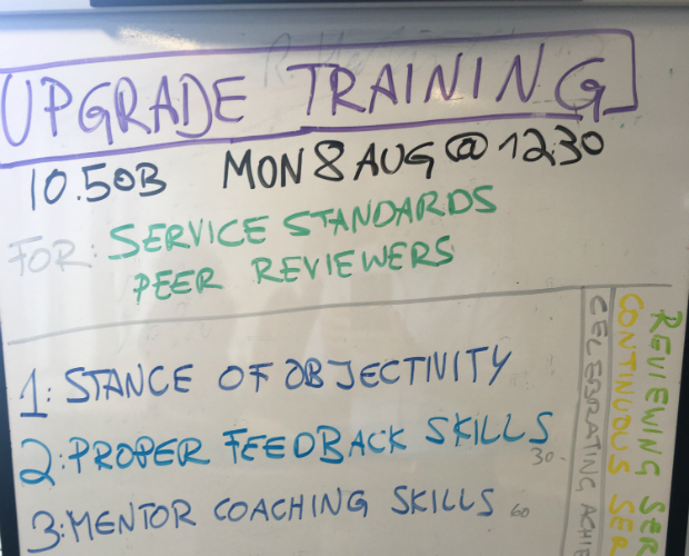 Continuous Service Review: the Service Standard Assessment Revolution ...